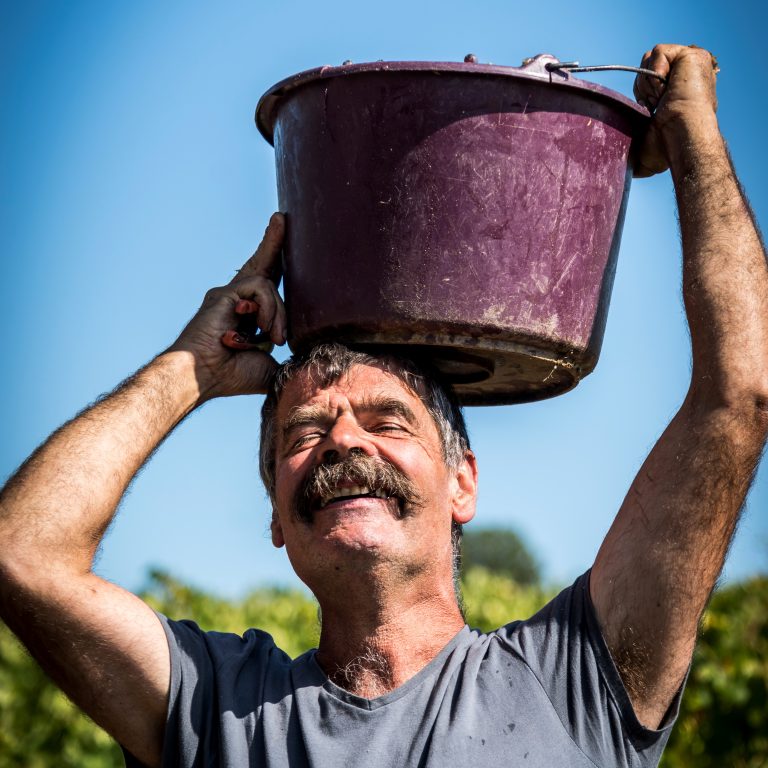 Notre histoire - Landron Chartier